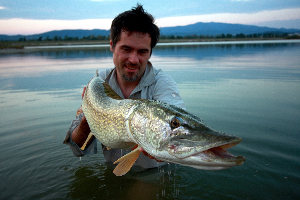 Fishing In Croatia (and in the neighbourhood): Monster pike long 107 cm ...