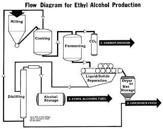 SEE WHAT I SAW: production of ethyl alcohol - flow chart