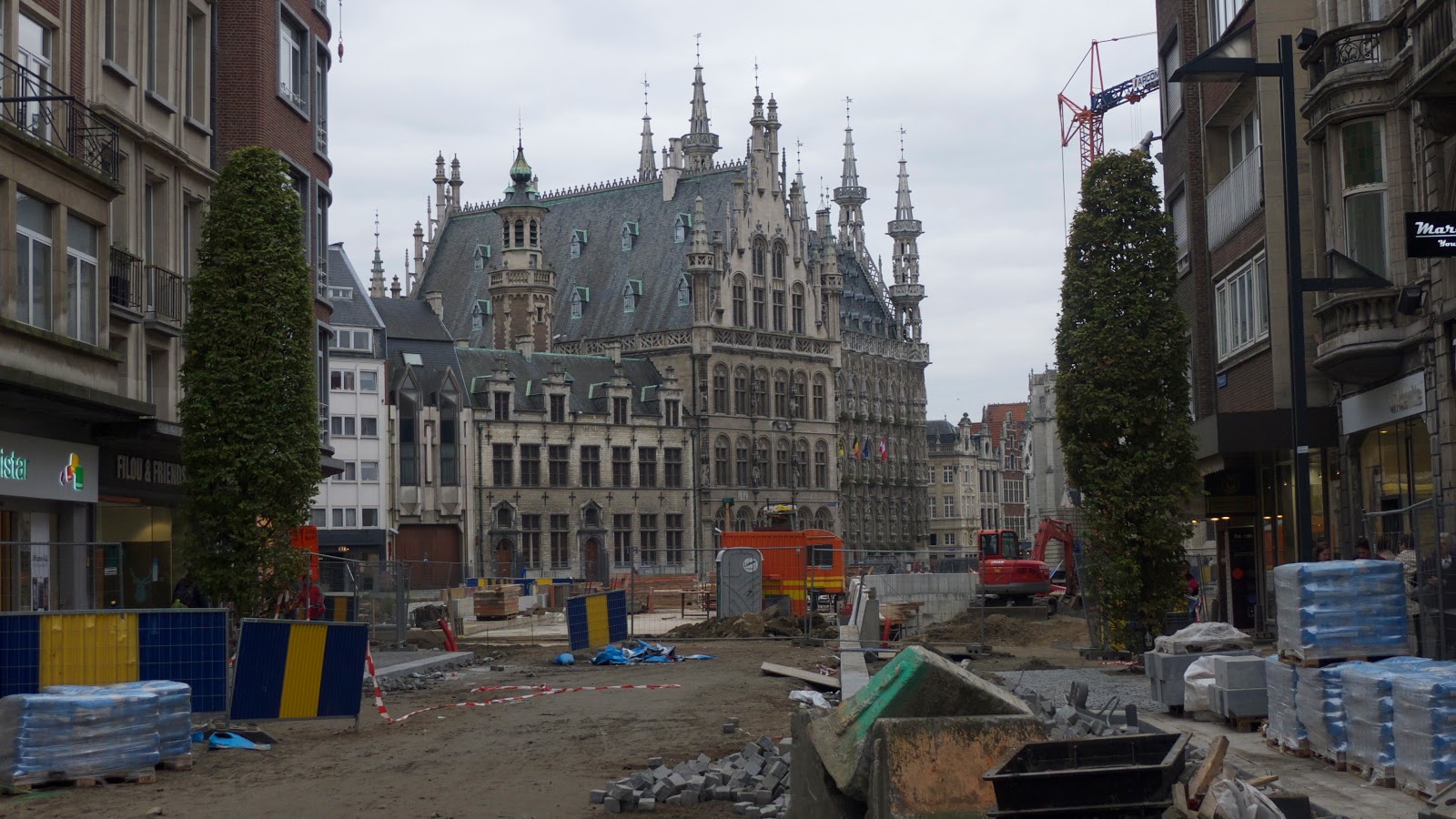 This is Belgium: A bug on a needle in Leuven.