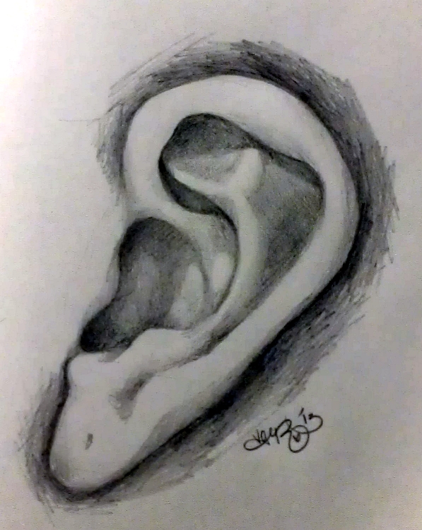 Art by Vanessa Callanta: Ear Studies