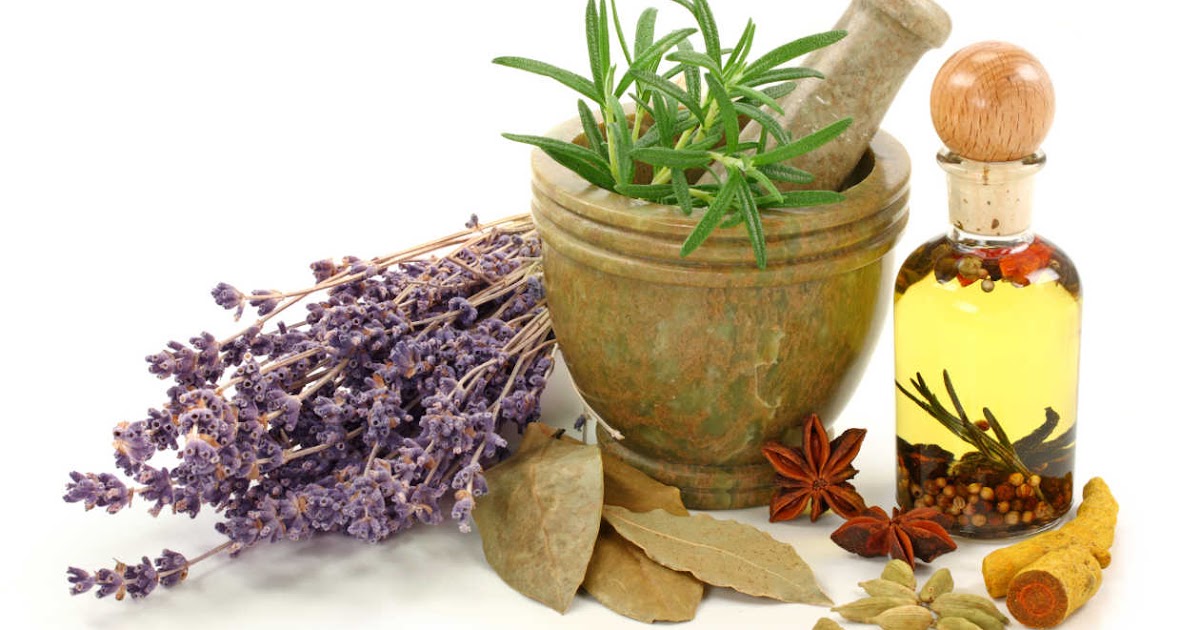 Las 3 Mejores Plantas Medicinales Que Existen ~ Medicina Alternativa