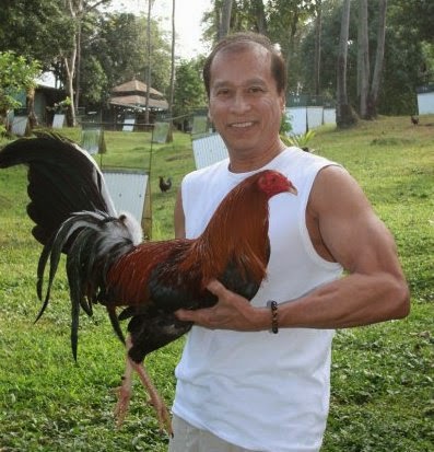 Biboy Enriquez: Bangis ng Firebird Gamefarm