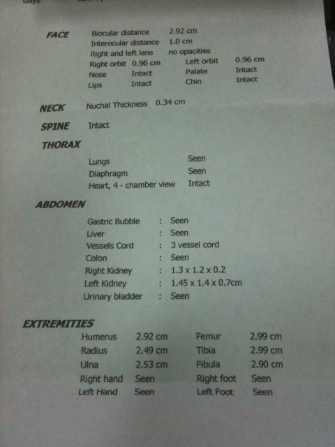 My First Belly Bump: The Congenital Anomaly Scan