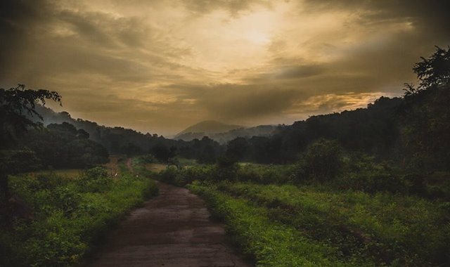 Tamilnadu Tourism: Javadi Hills, Thiruvannamalai