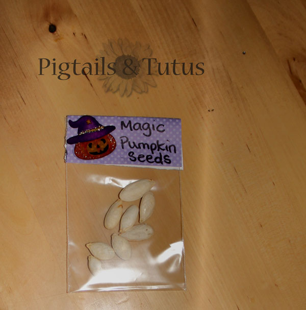 Pigtails and tutus: Magic Pumpkin Seeds