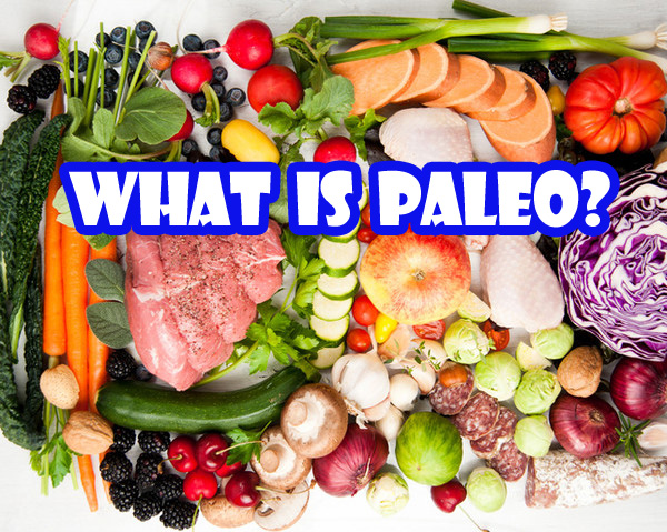 What is Paleo? ~ Paleo diet recipe blog