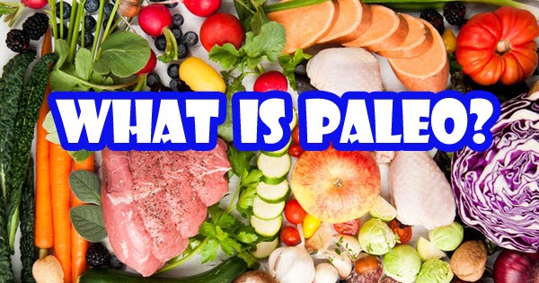 What is Paleo? ~ Paleo diet recipe blog