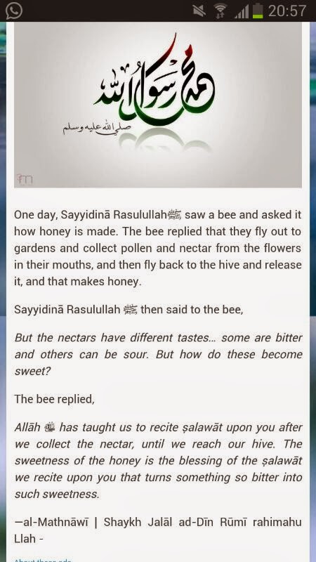 Sufi Synergy Healing: Amazing hadith and facts about Honey