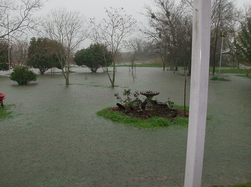 Two Men and a Little Farm: RAIN LOTS OF RAIN TODAY