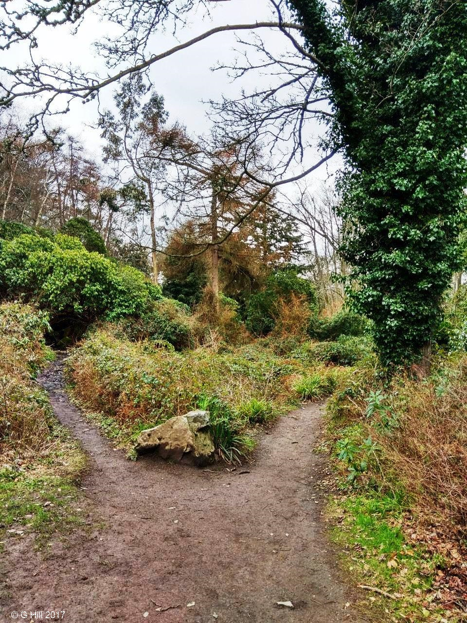 Ireland In Ruins: Aideen's Grave Co Dublin