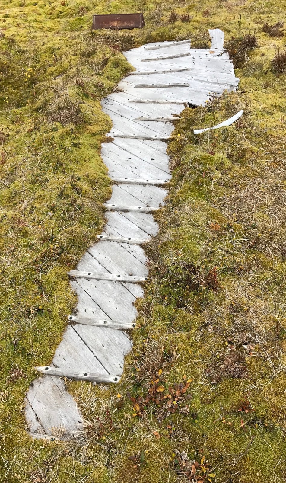 VISIONS OF THE NORTH: The Mysteries of Radstock Bay