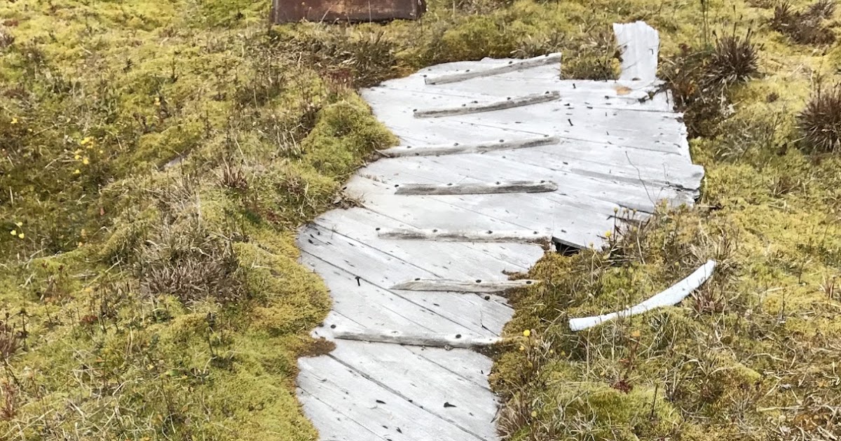 VISIONS OF THE NORTH: The Mysteries of Radstock Bay