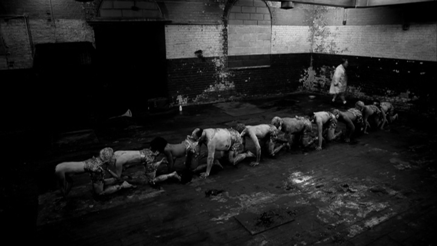 The Human Centipede - ott板 - Disp BBS