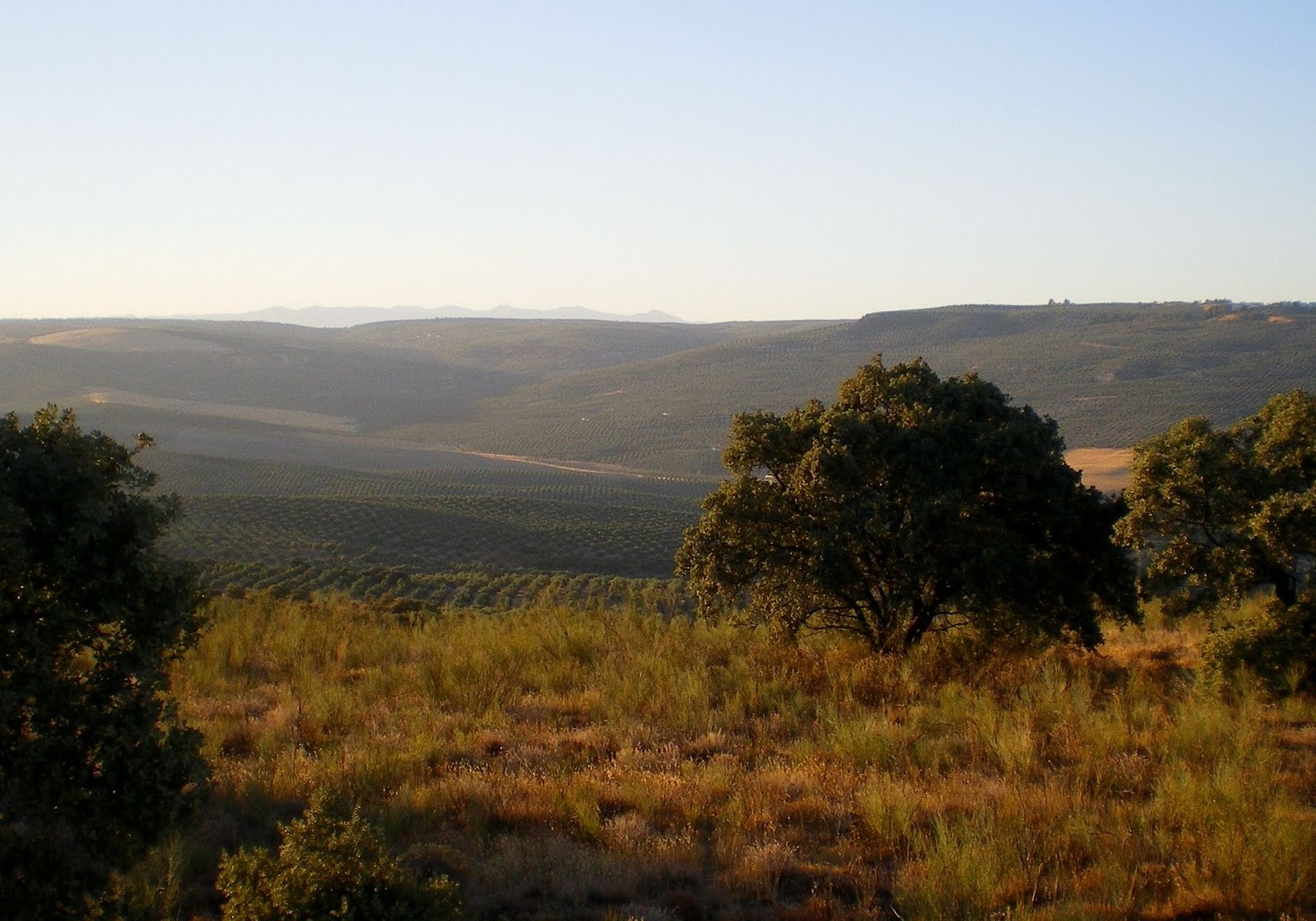 Club de Senderismo Los Escuderos de Rus (Jaen): ZAGAHÓN-PUENTE DE ARIZA ...