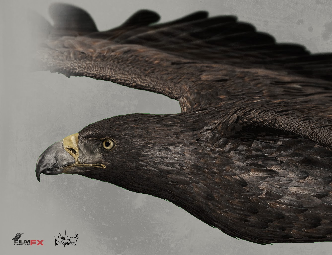 Andrey Bogomolov - Digital Character/Creature artist: Caucasus Eagle.