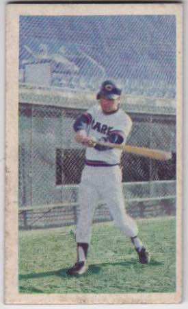 The Chronicles of Fuji: Mystery Men