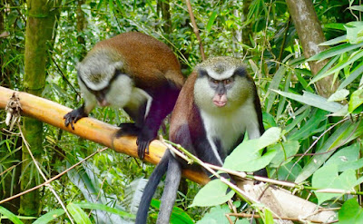 Things we did today...: Welcome To My Island