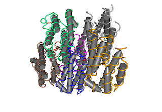 Rule of 6ix: Interferons, interferons, interferons - what exactly DO ...
