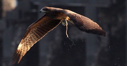 Leadership in Devotion: What is your Reality?