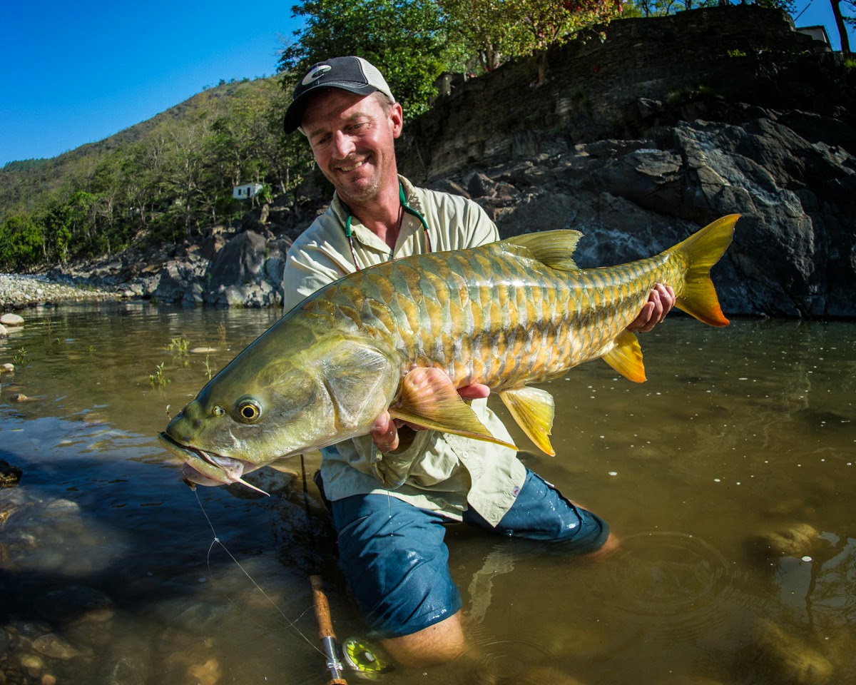 PEIXES DESPORTIVOS DO MUNDO: O MAHSEER - Barbus tor putitora
