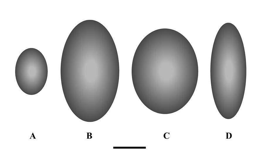 pan-Aves: Květen ve znamení pterosaurů, díl 1. – vejce, paleobiologie a ...
