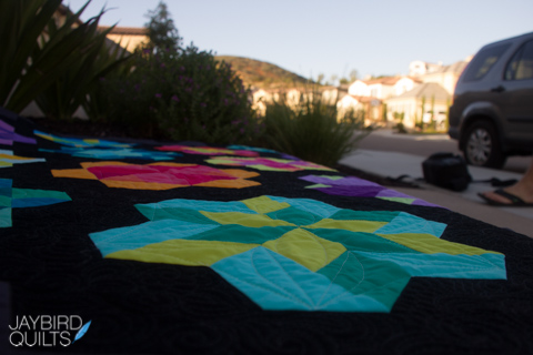 Jaybird Quilts: My Newest Block of the Month is Sweet Tooth!