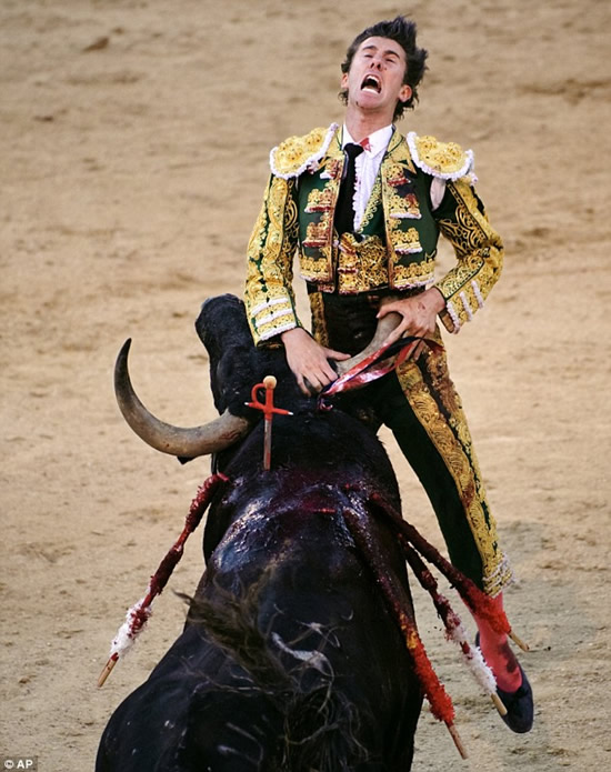 Bull Fighting: Bull Fighting Madrid