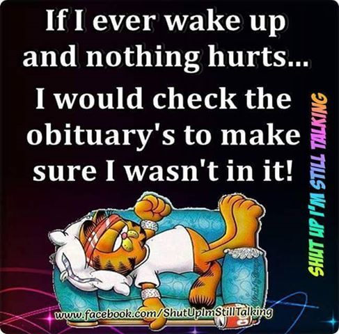 Crazy Jokes: Crazy Jokes [14-1-17]