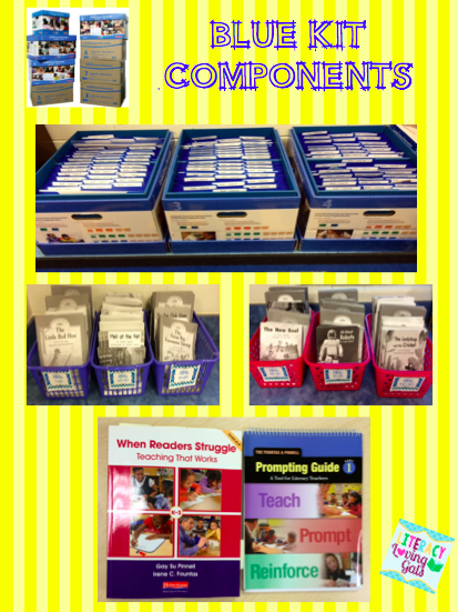 Literacy Loving Gals: A Peek into the F&P Leveled Literacy Intervention Kit