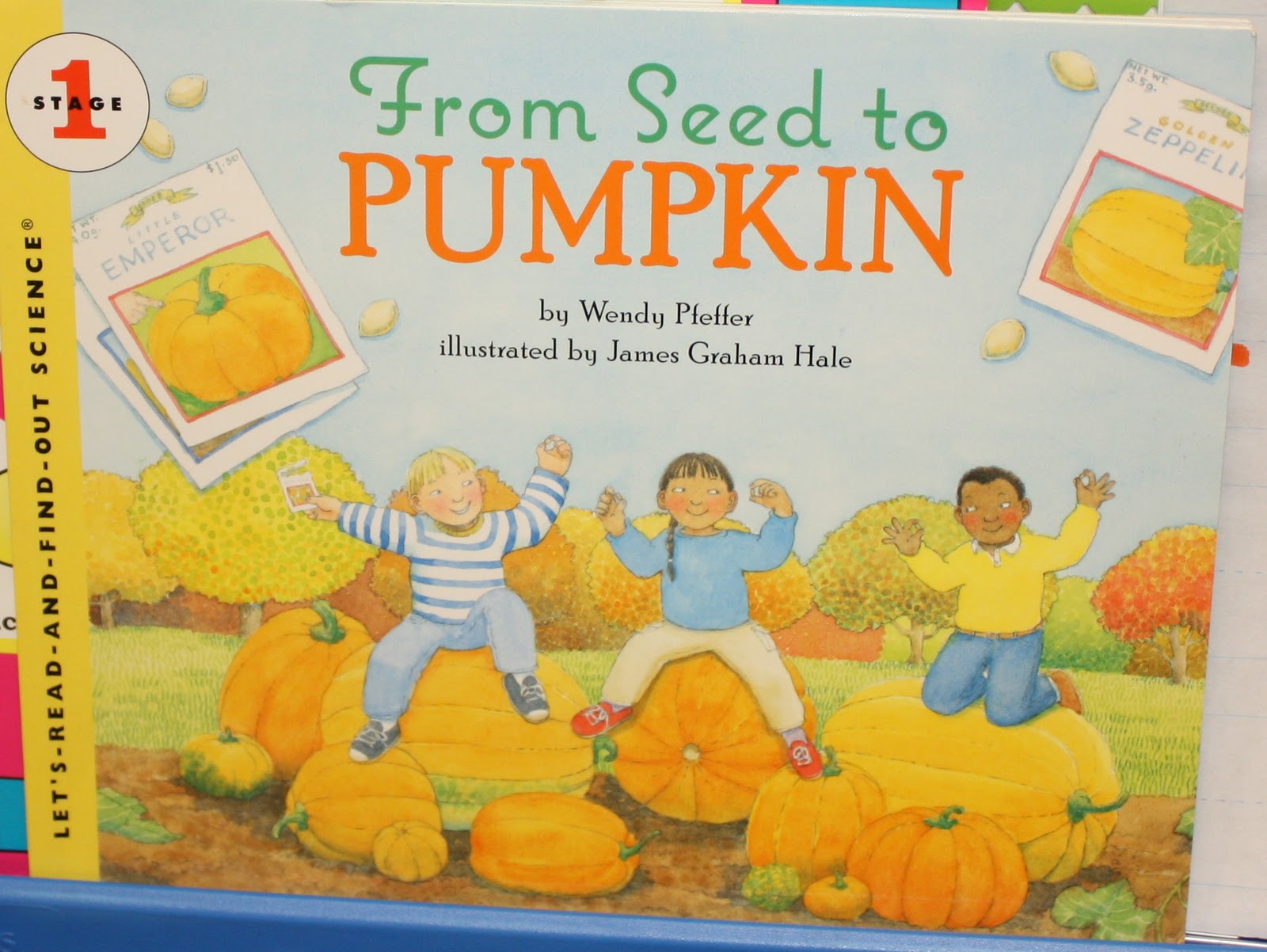 Ginger's 5K Daily Bread: Pumpkins!