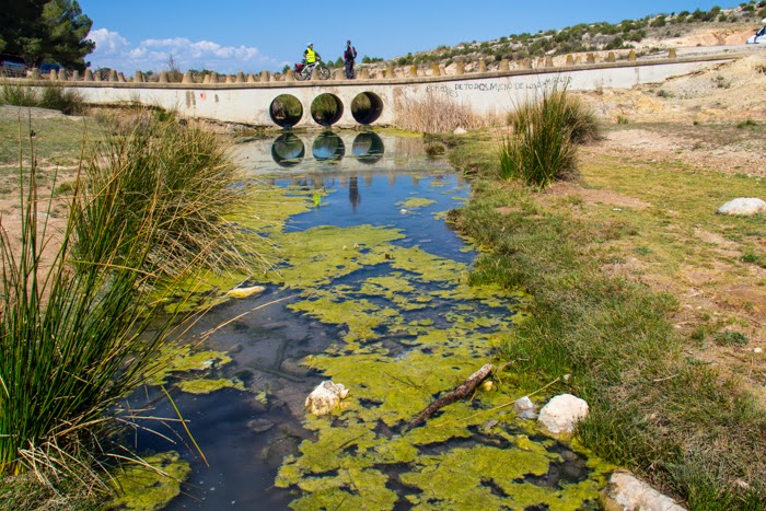 PANTANO DE LA CIERVA-FUENTE CAPUTA-RAMBLA PEREA