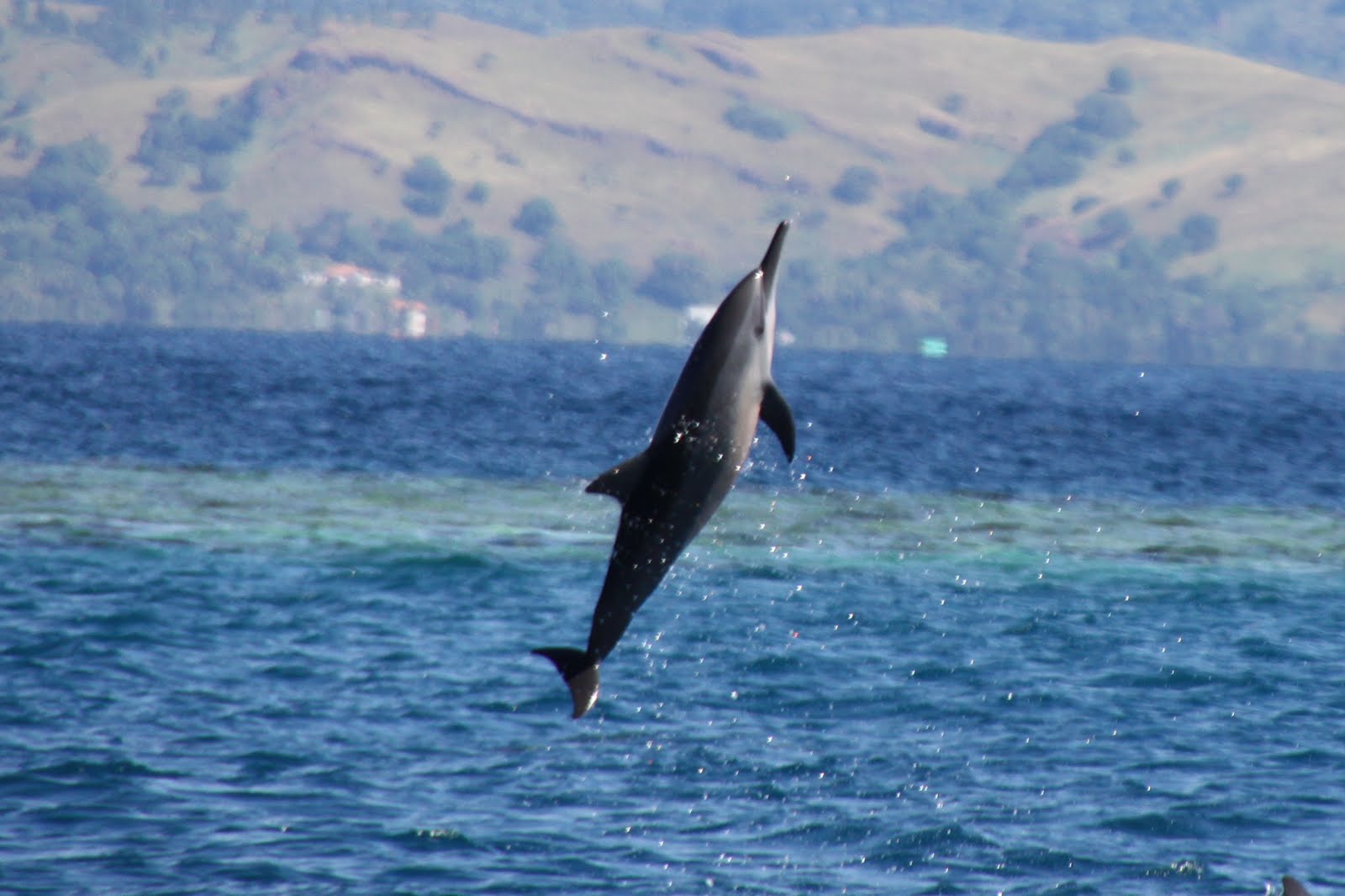 Explore Moon Reef from Takalana Bay Retreat, Fiji