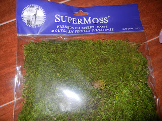 The Life of Mrs. Martinez: Moss Covered Initial