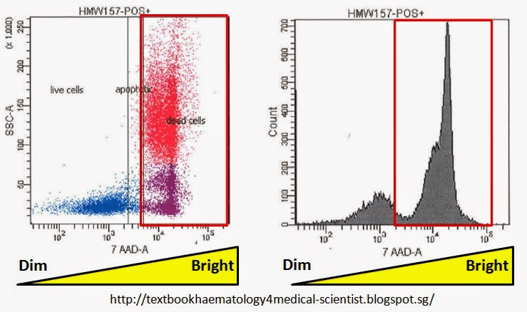 Haematology in a NutShell: 7-AAD Viability Testing
