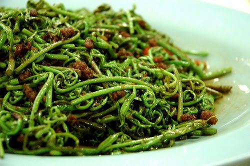 Pucuk Paku - Orang Sarawak Panggil MIDIN - Yumida