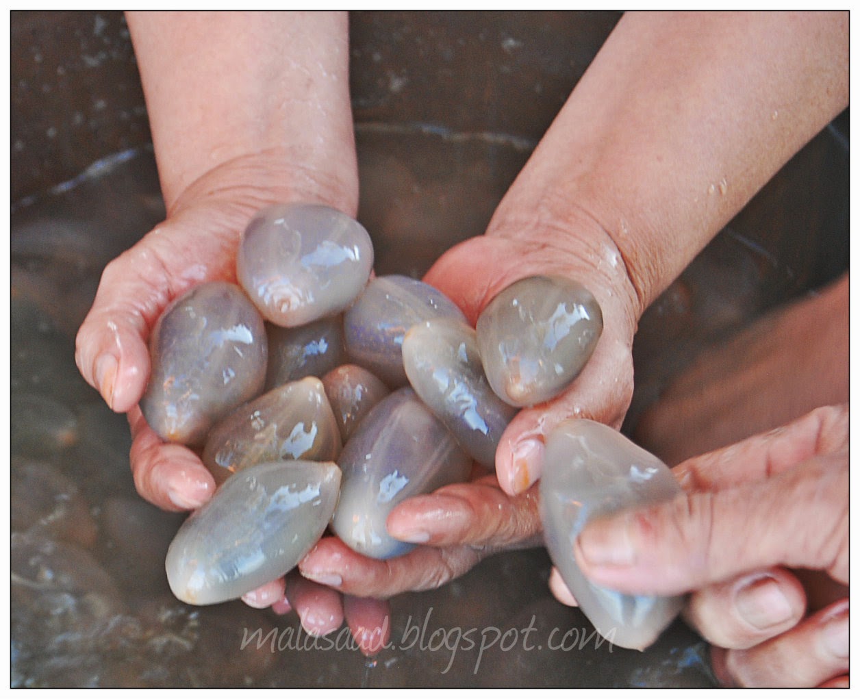 My Green Eye's: What ? Bronok...?