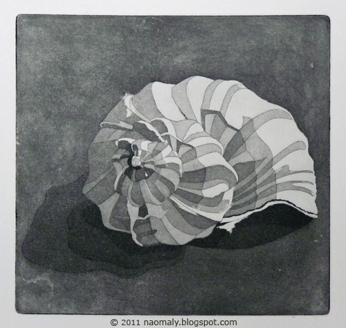 naomaly: Conch Shell Aquatint