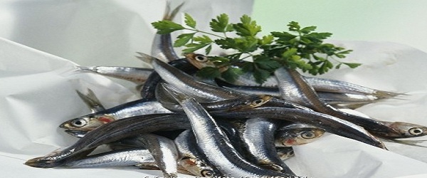 Sicilia in cucina, le ricette: Alici marinate