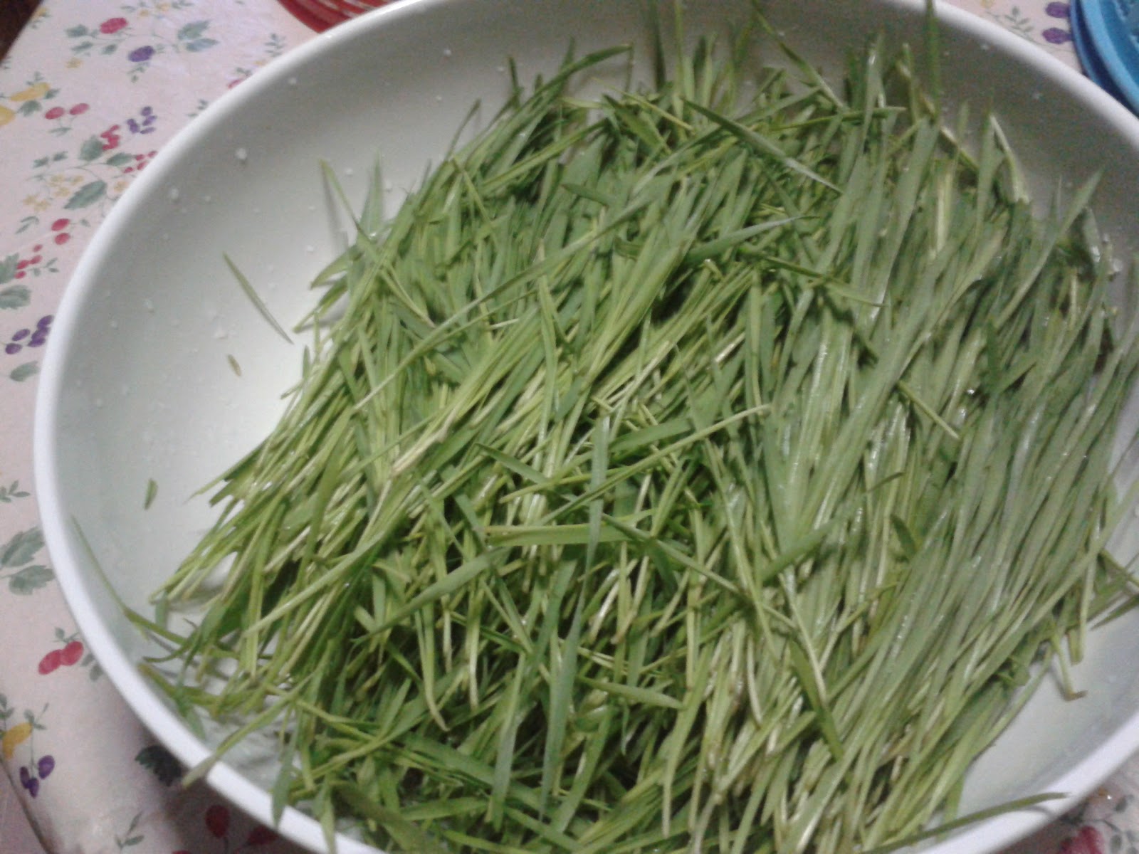 Be Health Aware: My First Time Drinking Wheat Grass Juice