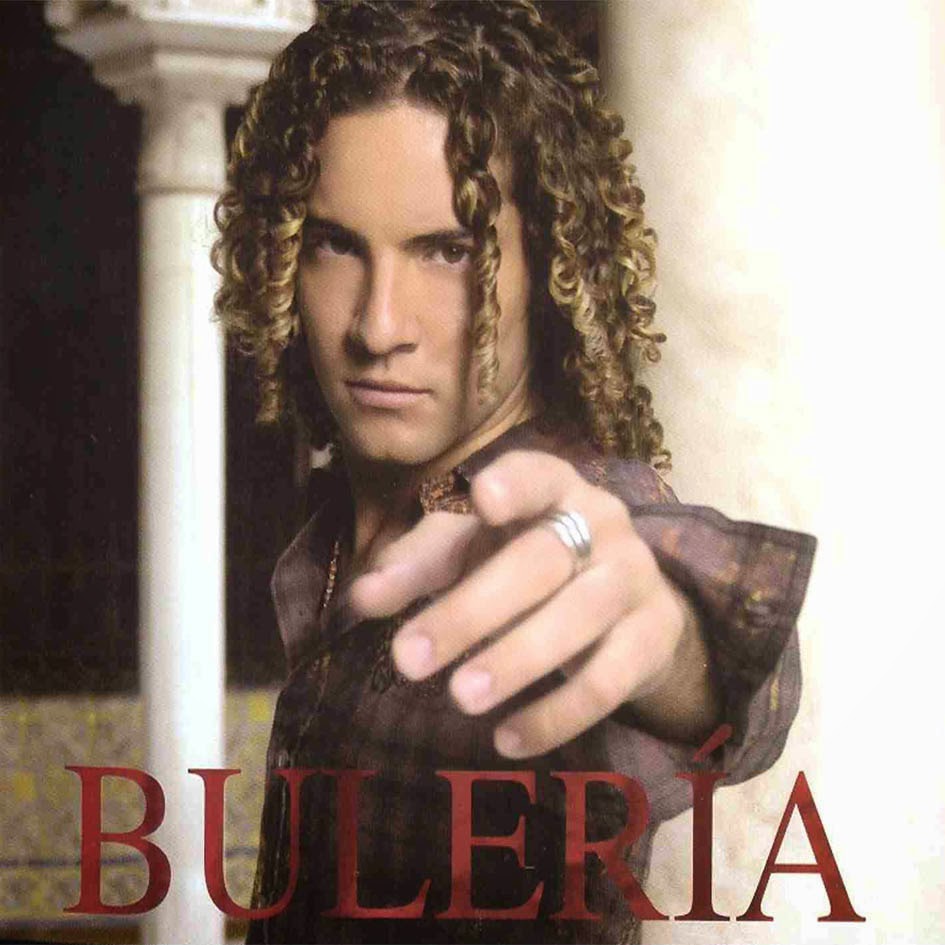 Mi mundo entre notas: DAVID BISBAL - BULERÍA