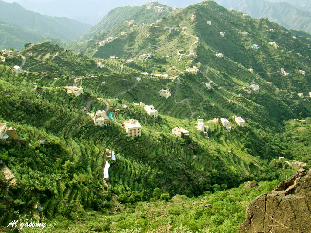 Introduction Blog : More About Abha