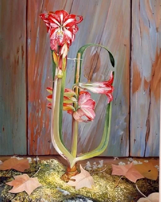 Timothy Martin | Surrealist painter | Tutt'Art@ | Pittura * Scultura ...