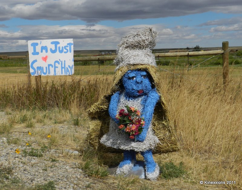 kinexxions: Montana Bale Trail :: What the Hay?