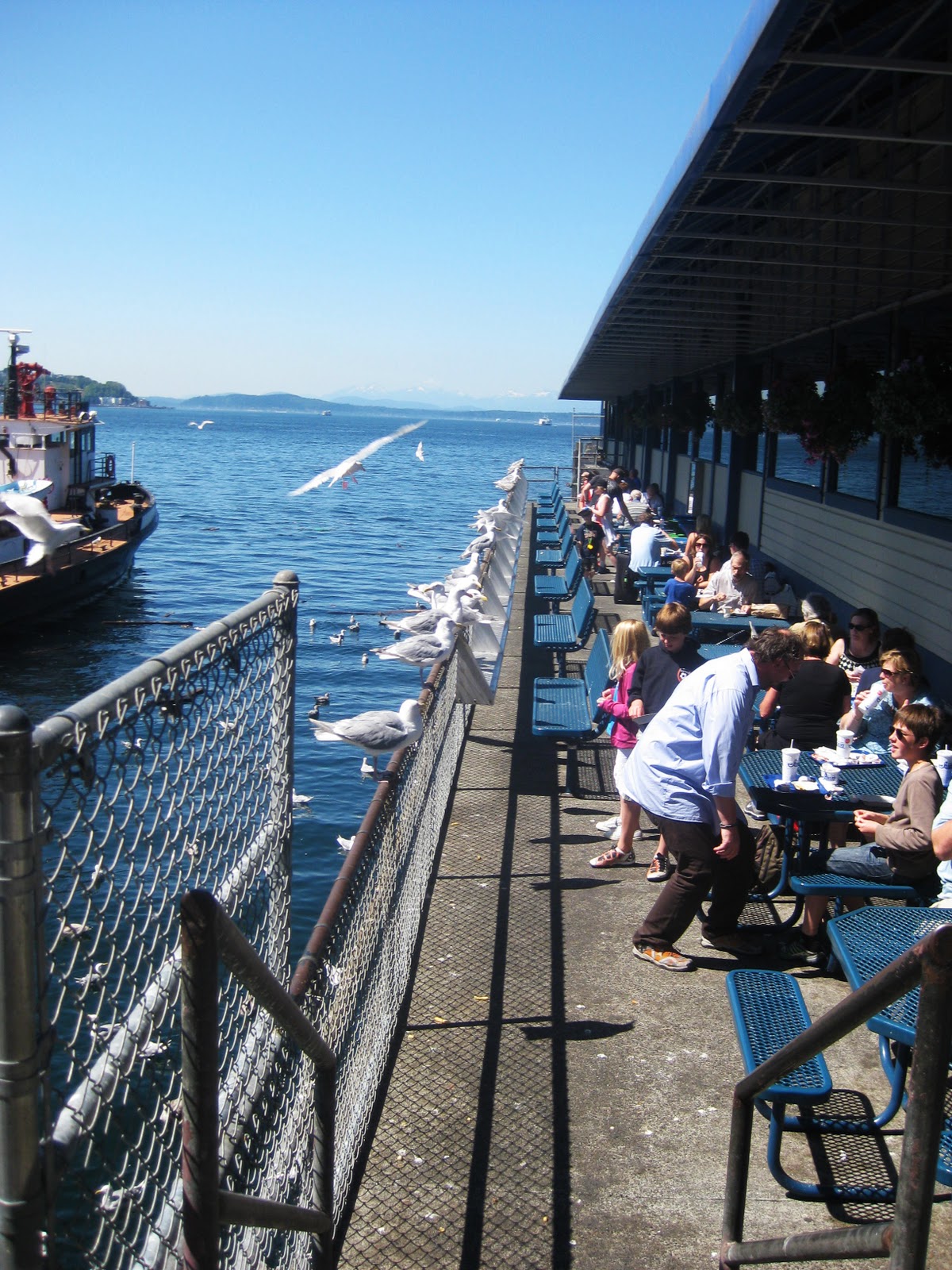 First We Cheers: Ivar's Seafood Bar - Downtown Seattle