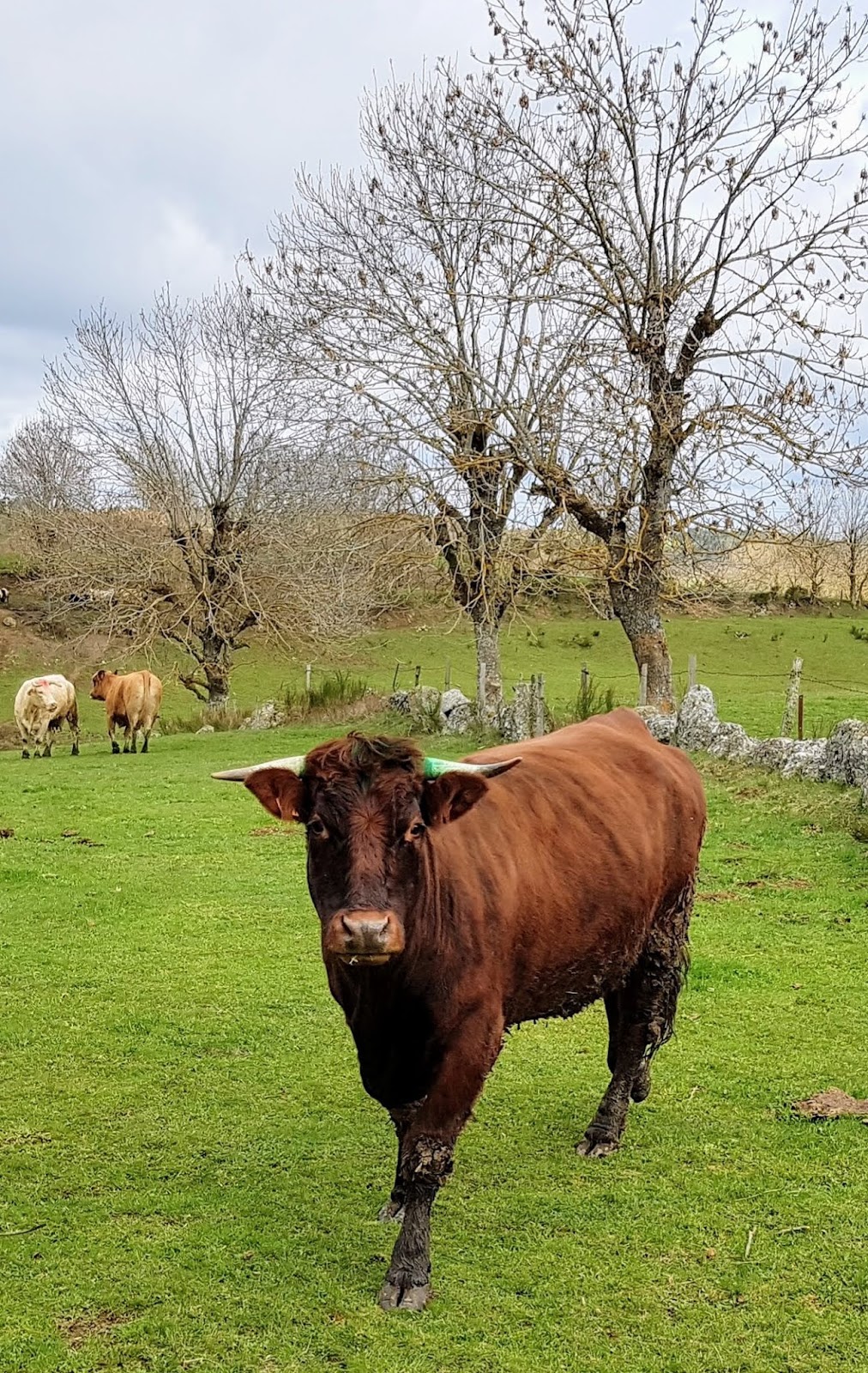 Dag 3 Monistrol d'Allier - Le Villeret-d'Achier 24.2 km