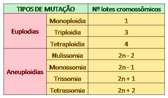 BIOBLOGUERS: Mutação cromossómica numérica - Síndrome XYY BIOBLOGUERS: Mutação cromossómica numérica - Síndrome XYY