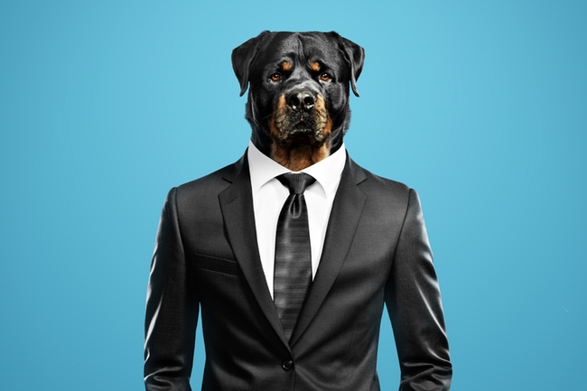 Labo Philo: Y-a-t-il une vertu spécifiquement politique?