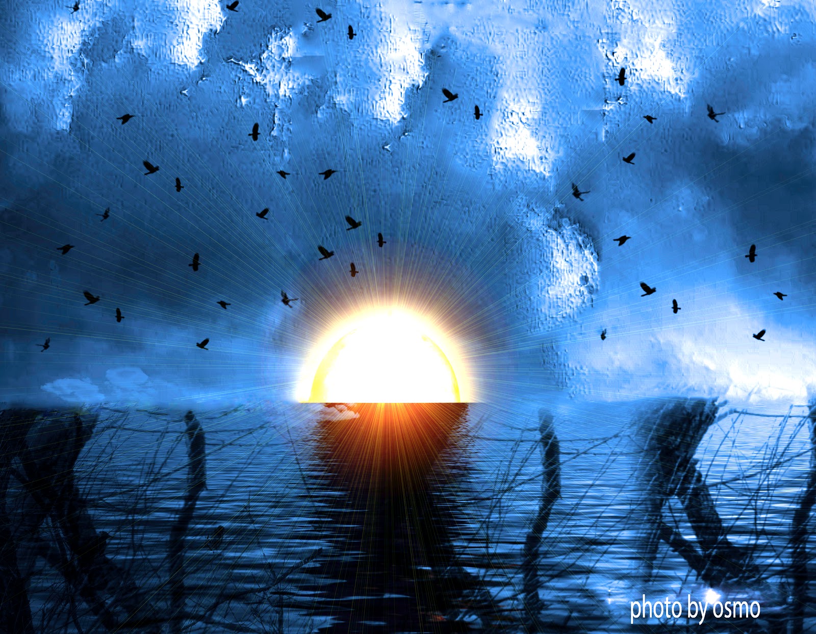 Atrapados por la Imagen: horizonte