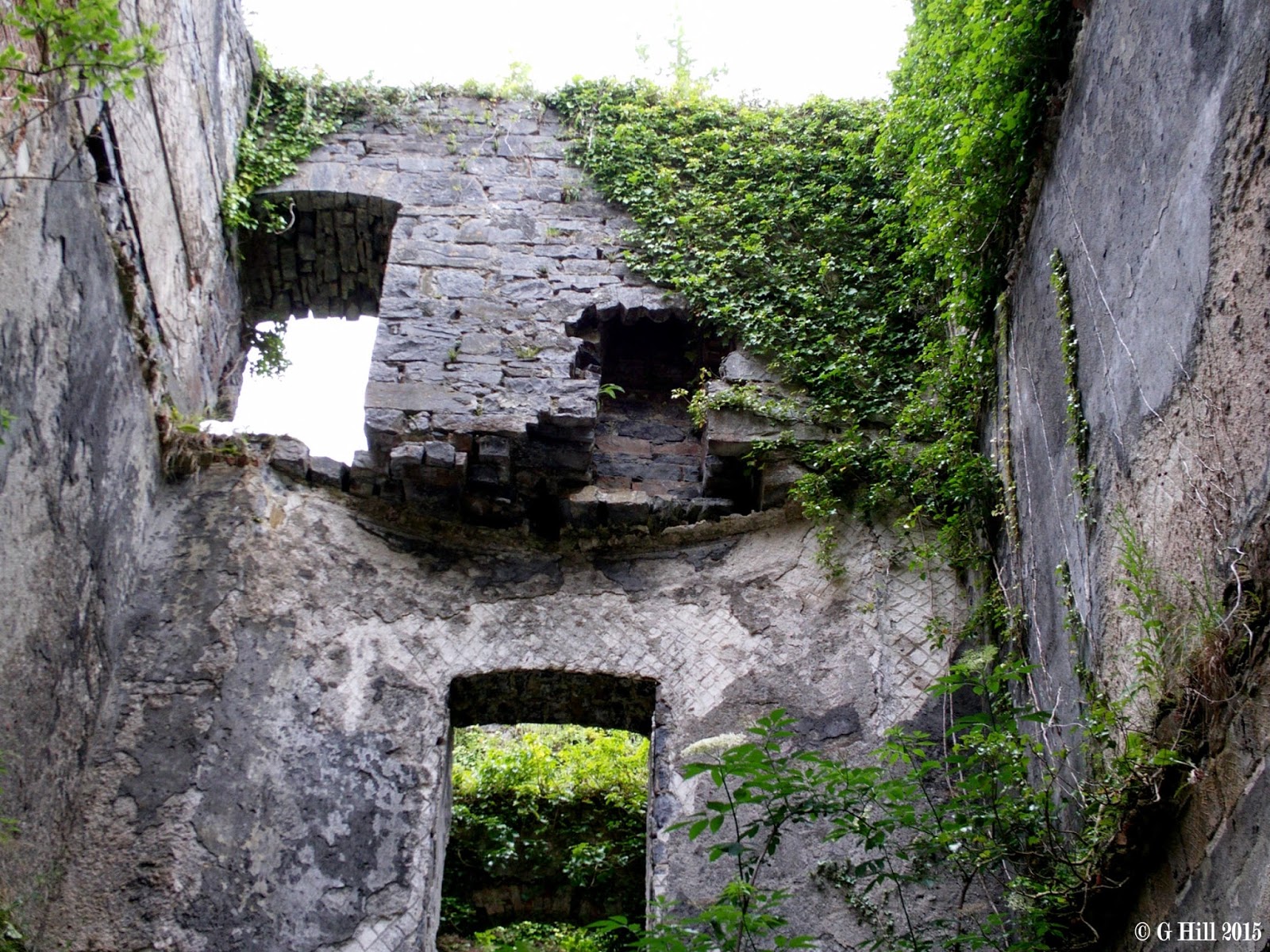 Ireland In Ruins: Moore Hall Co Mayo