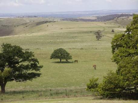 a bit of everything: exploring Ballan